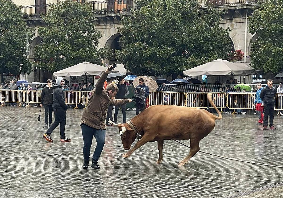 PNV y PSE presentan una ley para «proteger el histórico arraigo social» de las fiestas taurinas ...